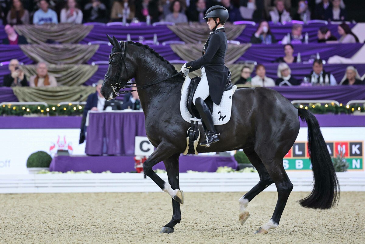 Das Sportjahr 2026: Die WM wird einen Sieger haben | ABC-Z - ABC-Z